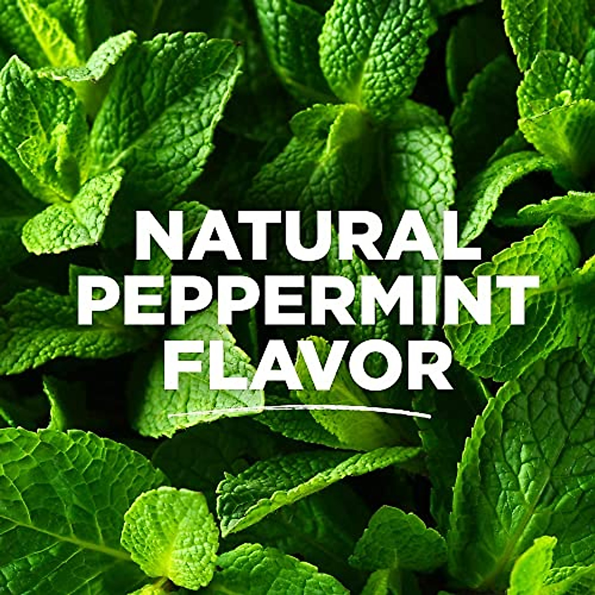 Activated Charcoal Toothpaste- Peppermint Fluoride Free Tom's Of Maine 4.7 oz Pa