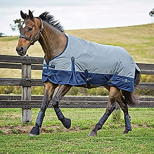 Saxon 600D with Gusset Standard Neck Lite II, Grey/Navy, 78"