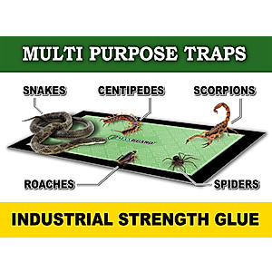 MaxGuard Extra Large Insect Traps (8 Traps) | Non-Toxic Extra Sticky Pre-Baited Glue Board, Trap & Kill Most Crawling Insects, Bugs, Spiders, Crickets, Scorpions, Cockroaches, Centipedes, Snakes.