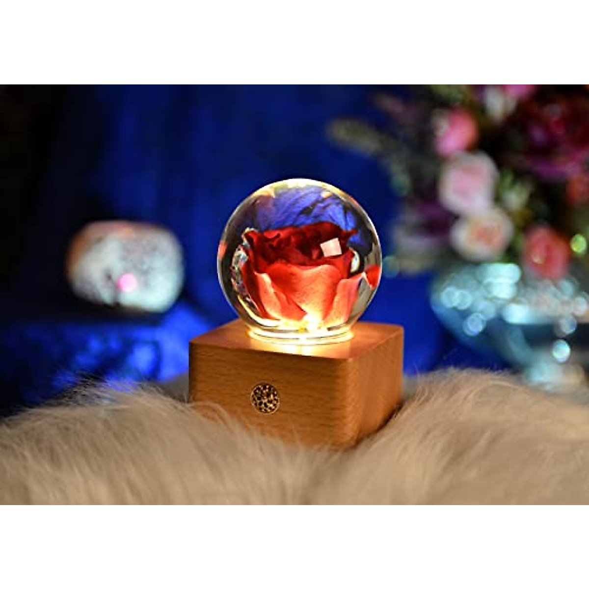 Ellington Gifts Real Preserved Flower Glass Ball Night Light | Dimmable Battery LED, Real Eternal Flowers, Birthday Gifts for Women Mom Girlfriend, Special Anniversary, Valentine's Day (Red Rose)