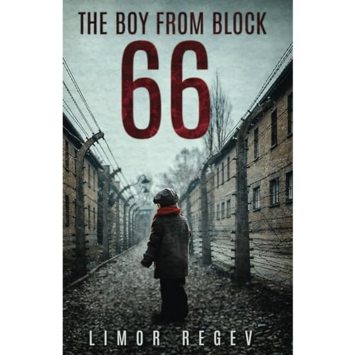 The Boy From Block 66: A WW2 Jewish Holocaust Survival True Story (Heroic Children of World War II)