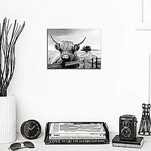 Highland Cow Canvas Black and White Landscape Pasture Hairy Cow Animal Wall Art Pictures Canvas Wall Art Farmhouse Prints Photo Contemporary Cow Decor Paintings Home Decoration Artwork 12"x16"