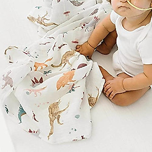 Red Rover Kids Cotton Muslin Swaddle - 47”x 47”- 100% Cotton - Machine Washable - Softer with Every Wash - Playful Designs -Soft, Breathable & Lightweight - Unisex (Dino Days)