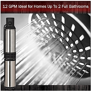 Red Lion RL12G07-2W2V 4-inch Submersible Deep Well Pump, 3/4 HP, 12 GPM 2-Wire, 230 Volts, Steel, 14942403