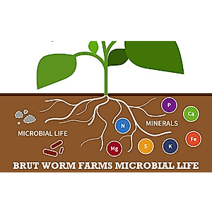 Brut Cow Compost - 12 Lb - Nutrient-Rich Fertilizer for Thriving Gardens - Safe, Pure, and Effective