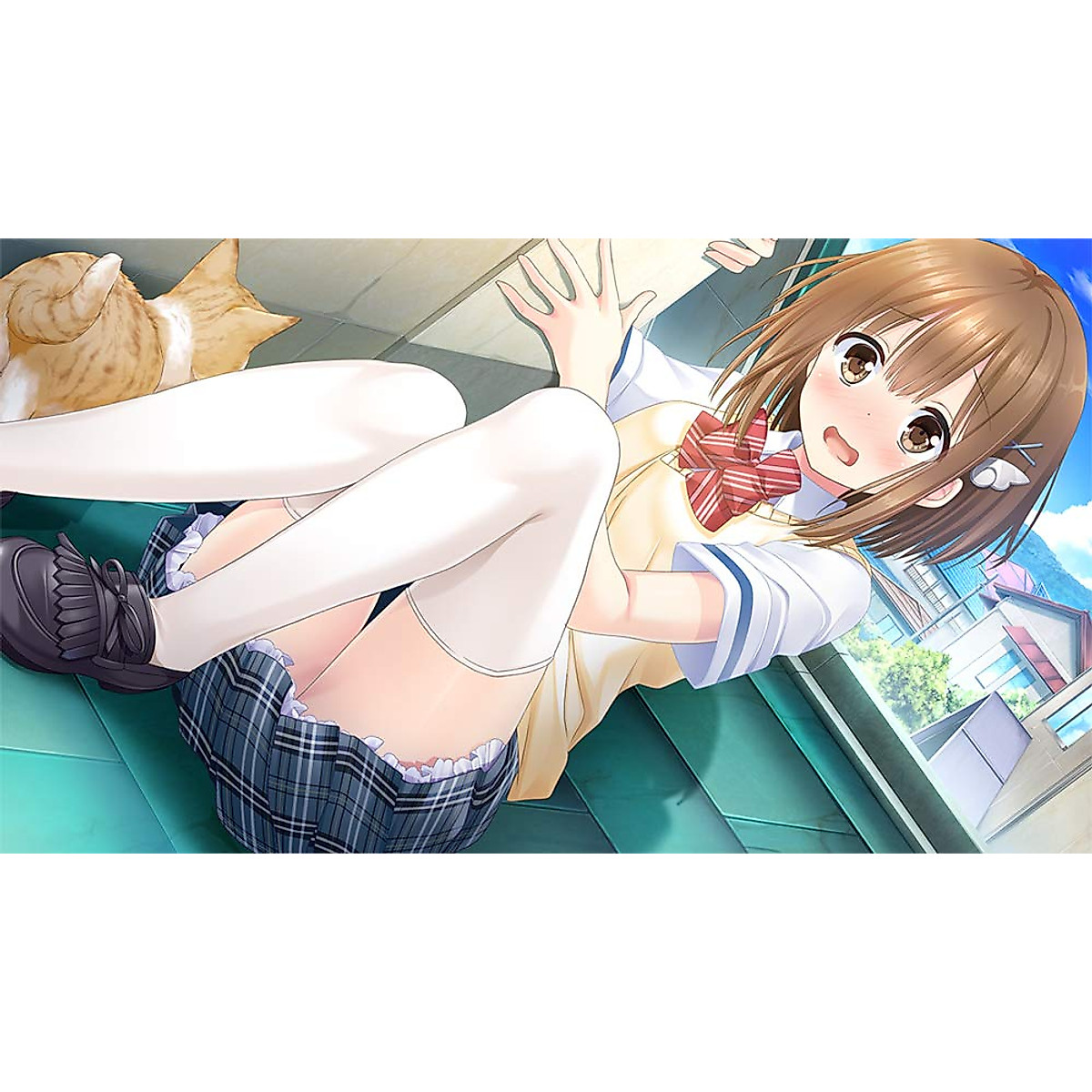 ラブクリア　完全生産限定版 - PS4 (【特典】描き下ろしタペストリー「英梨と小羽の南国リゾートで心も体も開放B2タペストリー」、特製イラスト色紙「律とひまりの仲良し色紙」、オリジナルサウンドトラック「C MUSIC」、アクリルキーホルダー「ひまりのちまっとアクリルキー