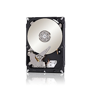 (Old Model) Seagate 4TB NAS HDD SATA 64MB Cache 3.5-Inch Internal Bare Drive (ST4000VN000)