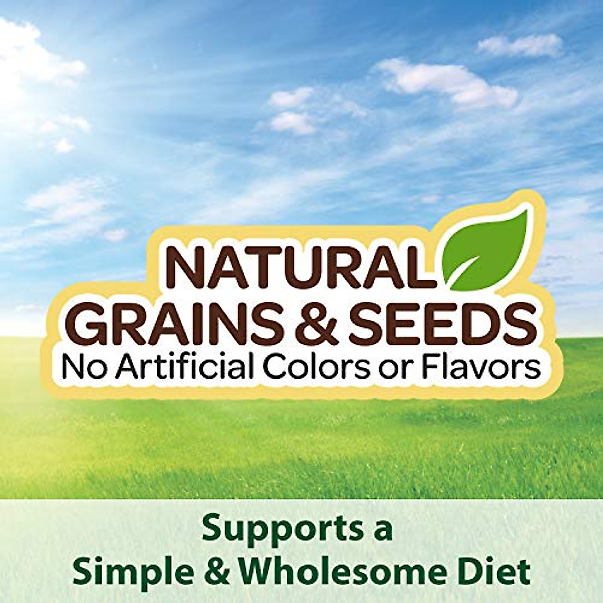 Kaytee Supreme Dove Food 5 pounds