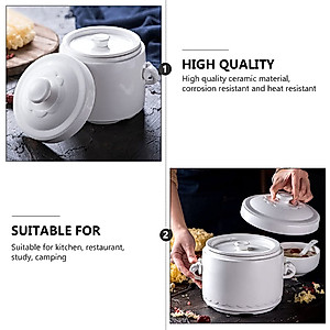 Kichvoe Sugar Container Ceramic Stew Pot with Handles and Lid, Small Steam Soup Bowl Stockpot Cookware for Egg Custard Medicinal and Birds (520ml) Creamer Singles