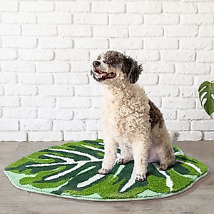 NOTASA Kids Rug Green Leaf Area Rug for Nursery Cute Bath Mat Non Slip Small Preppy Carpet for Bedroom Bathroom Children Playroom Boho Home Decor Washable 2.6'x4'