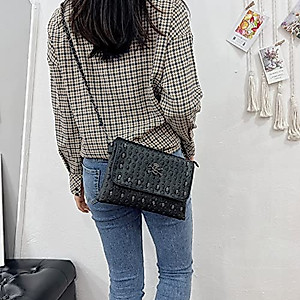 JOZZYAPA Skull Purse Gothic Purse Studded Spooky Punk Coffin Goth Rivet Purses and Handbags Tote Handbag Crossbody Satchel Shoulder Bag Clutch Purse Wallet Messager Bag Skull Gifts for Women, Black