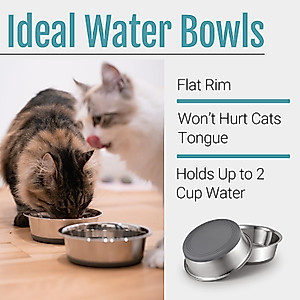 PEGGY11 Stainless Steel Metal Cat Bowls, Nonslip Rubber Bottom, Dishwasher Safe, Easy to Clean - 2 Pack, Each Holds 2 US Cup