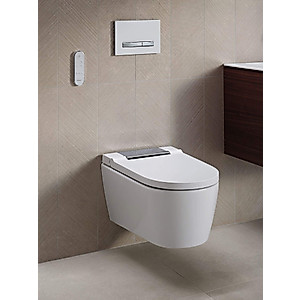 Geberit 115788212 Toilets and Bidets, Bright Chrome-Plated