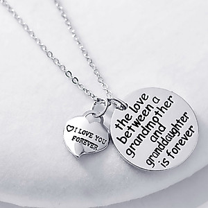 Blerameng Christmas Mother's Day Gift The Love Between a Grandmother and Granddaughter is Forever and I Love You Forever Thanksgiving Pendant Necklace