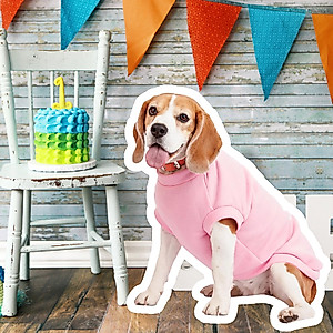 Custom Life Size Cardboard Cutout, 1-6 ft Personalized High Resolution Stand Up, Upload Photo, Perfect for Wedding, Graduation, Birthday, Events