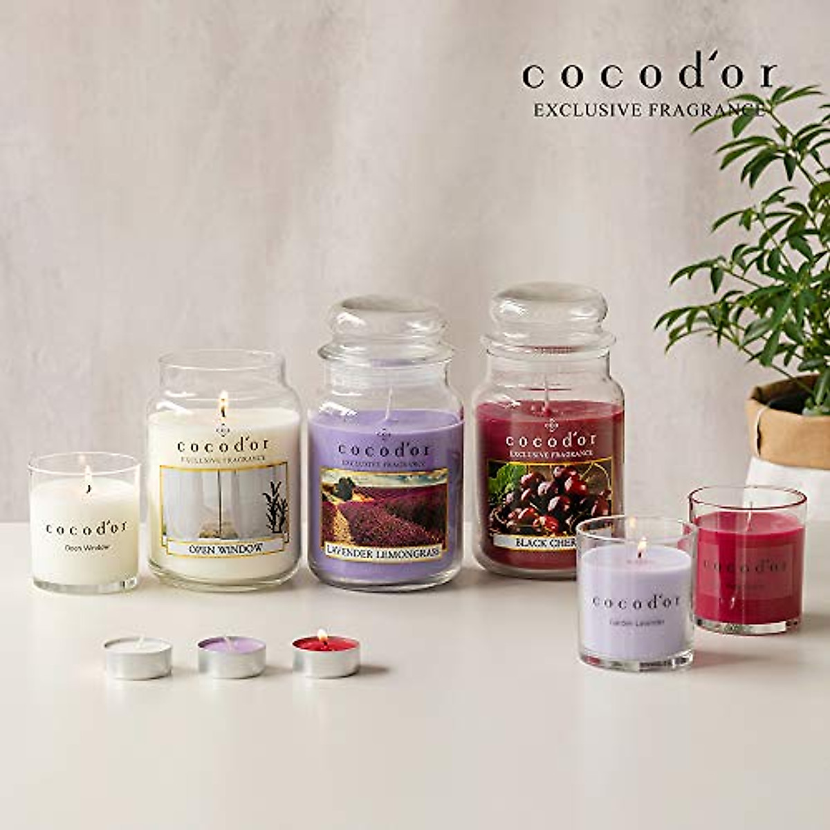 COCODOR Large Jar Candle/Damson Rose / 120-150 Hour Extended Burn Time/Holiday Decoration, Home Deco, Interior, Aromatherapy, Fragrance, Mother's Day