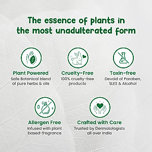 Mother Sparsh Talc-Free Natural Dusting Powder for Babies, 100 g (Pack of 2)