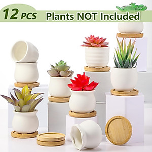 Remerry 12 Pcs 2.5 Inch DIY Ceramic Succulent Pots Figurines Paint Craft Kit Unpainted Ceramic Bisque Paintable Ceramic Flowerpots with Drainage Hole Ready to Paint for Kids Classroom (Matte Style)