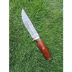 Damascus Steel Knife, Bowie Hunting Knife, Fixed Blade skinning Knife Exotic wood handle 10 inches