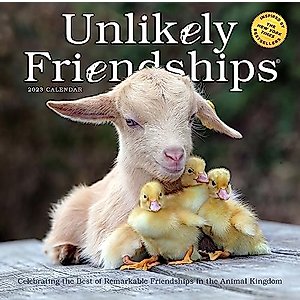 Unlikely Friendships Wall Calendar 2023: Heartwarming Photographs Paired with Stories of Interspecies Friendships