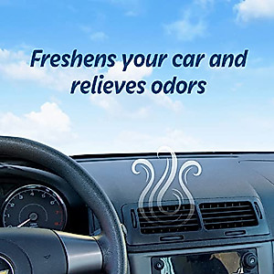 Refresh Your Car Air Freshener, Odor Eliminator, Set of 2 Mini Car Oil Diffusers, Hawaiin Sunrise Scent, Refresh Your Car