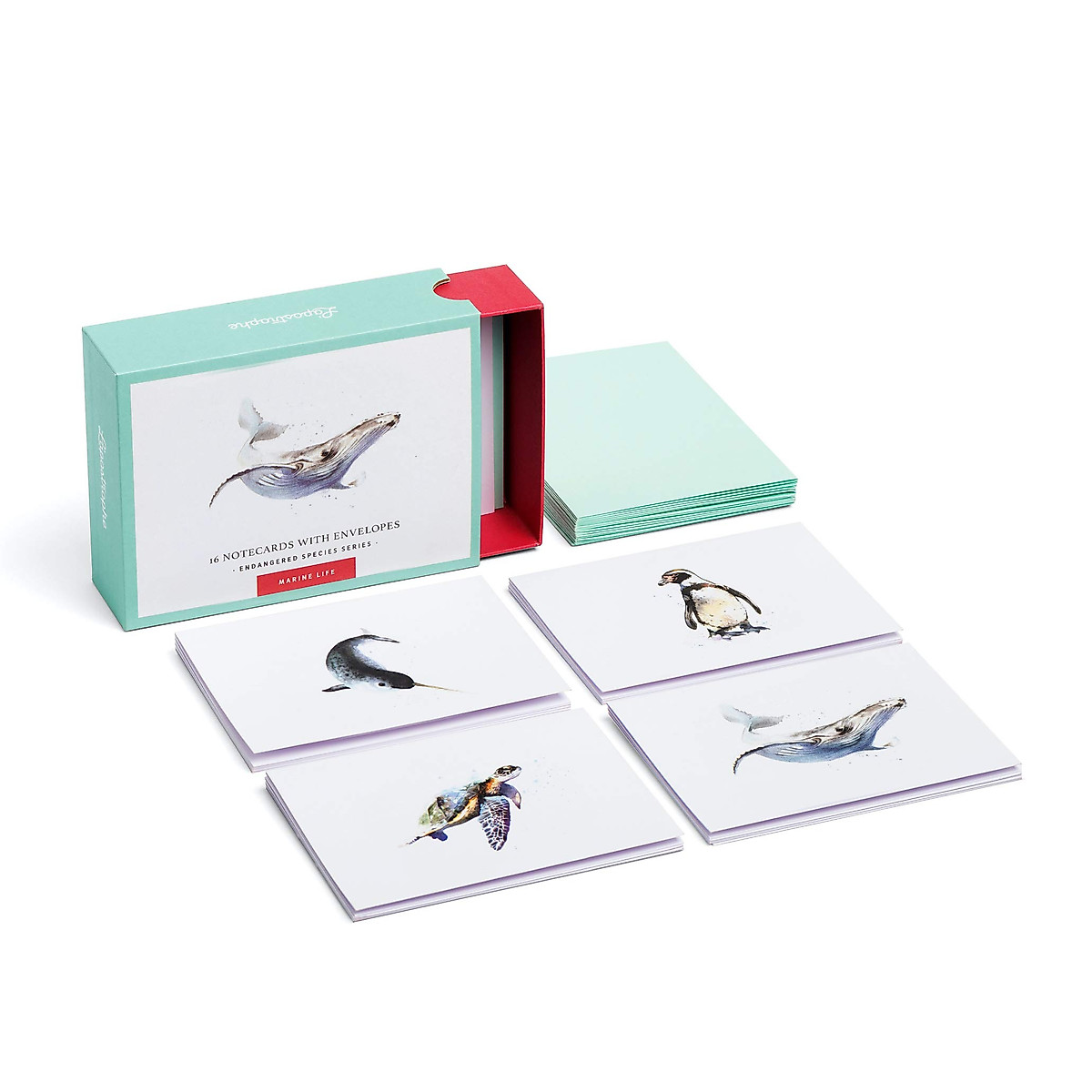 L'apostrophe Marine Life - Blank Note Cards with Envelopes - Blue Whale - Turtle - Narwhal - Penguin - Assorted Set of 16 Animal Greeting Cards for All Occasions - 4.75" x 3.5"