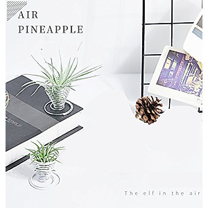 20 Pack Air Plant Stand Container Tillandsia Holder, Fineder Stainless Steel Wire Stand Plant Display Racks - Silver