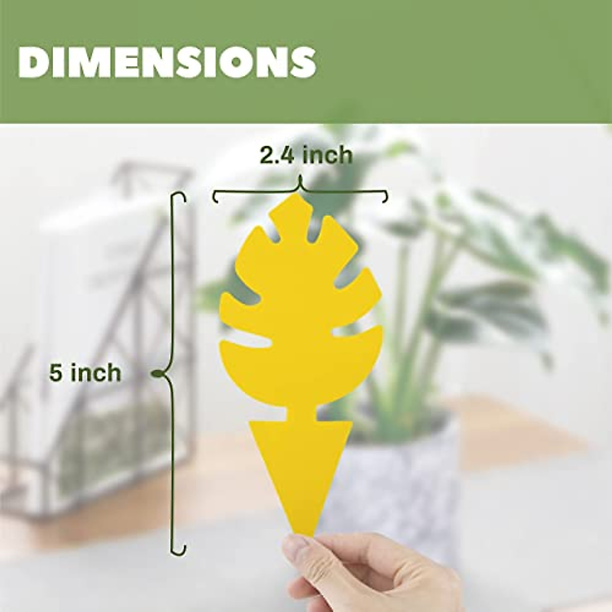 30 Pcs Yellow Sticky Trap for Indoor Gnats Dual Sided by Grow Margo - Fruit Fly Traps for Indoors - Plant Sticky Traps for Gnats - Plant Gnat Stix - Plant Fly Sticky Trap Sticks