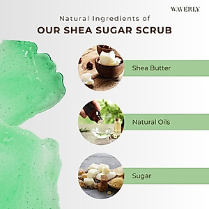 Waverly Eucalyptus- Shea Butter Body Scrub - Gentle Sugar Exfoliant Deeply Nourishes and Softens Skin with Natural Oils