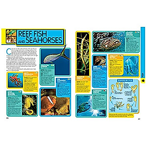 National Geographic Kids Animal Encyclopedia, 2nd Edition: 2,500 Animals with Photos, Maps, and More!