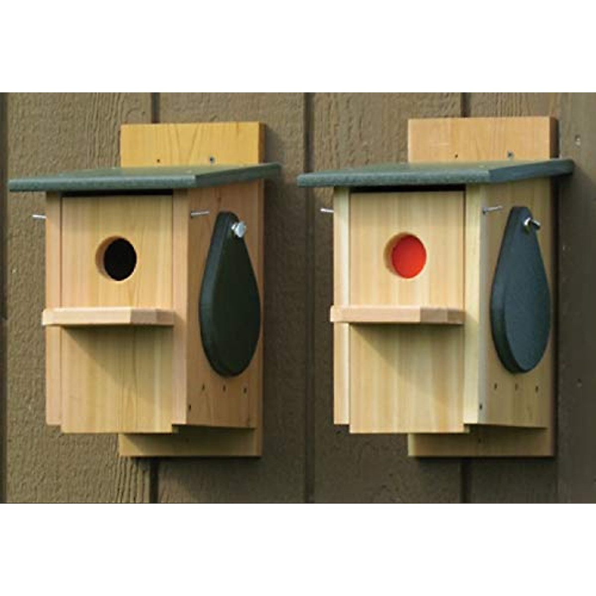 FMS Ravenox Sparrow and Starling Eliminator Trap | Starling Trap, Sparrow Trap | House Sparrow Trap for Eliminating Invasive, Non-Native Sparrows | Bird Trap with Sparrow Trap Door