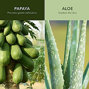 Plant Apothecary Cloud Break: 6.8oz Enzyme Face Cleaner with Aloe, Vitamin B5, Pineapple & Papaya Extract - Cleansing Face Wash With Refreshing Formula - Facial Cleansers & Skin Care for Men and Women