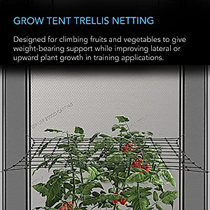 AC Infinity Grow Tent Trellis Netting 2x4', Heavy-Duty Elastic Plant Net with Steel Hooks, Flexible Hydroponics Support for Grow Tents, Gardening, and Horticulture
