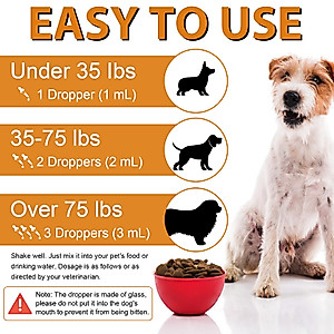 Quercetin for Dogs, Dog Quercetin Liquid Drops Supports Dogs Allergy Relief, Dog Herbal Supplement - Pet SuppliesQuercetin for Dog Itch Remedies - 60 ml / 2 fl.oz