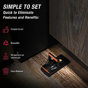 PIC Simple Set Mouse Traps, 2 Count (Pack of 6)