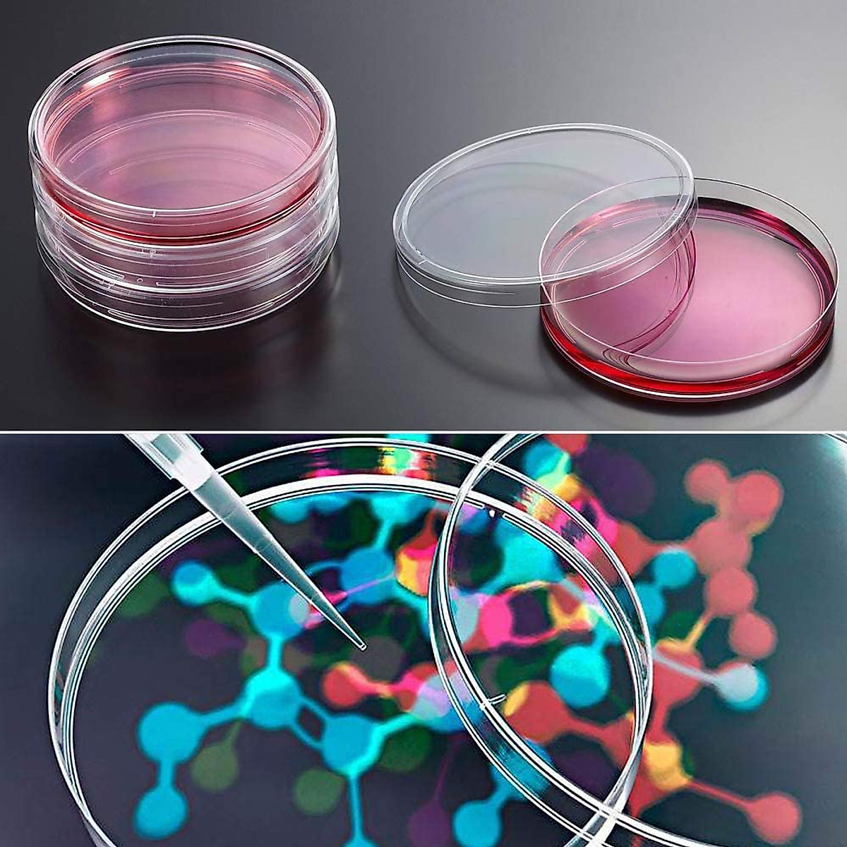 MEETOOT 10pcs Disposable Plastic Petri Dish 90x15mm with 5 2ml Thickened Plastic Transfer Pipettes for School Science Fair Project and Party