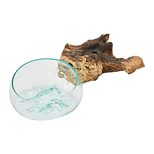 Creative Co-Op Recycled Glass Bowl on Natural Teakwood Base