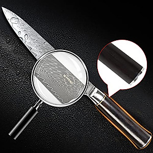 IKYPPAH Damascus Chef Knife 8 Inch, Japanese Aus10 Steel and Ebony handle,in Gift Box