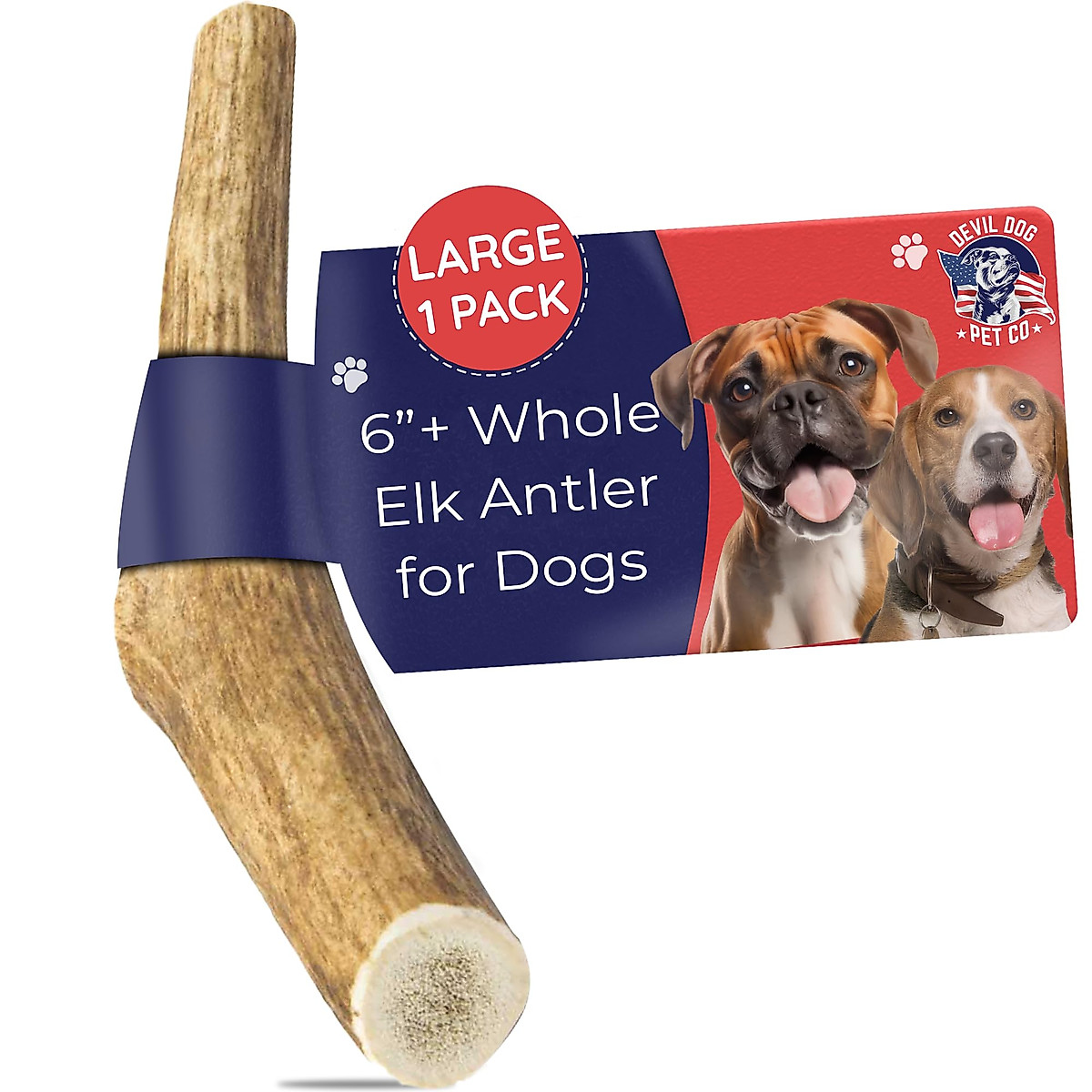 Devil Dog Pet Co. Elk Antlers for Dogs, Large 6"+, 1 Pack, Grade A Long Lasting Chew for Aggressive Chewers, Premium USA Naturally Shed Antler – Healthy, No Odor, Durable Dog Chew