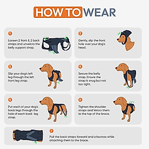 Dog Back Brace with Soothing Heat Warmers for IVDD - Pain Relief for Arthritis - Spinal Surgical Recovery - Herniated & Slipped Disc - Made in USA (Small)