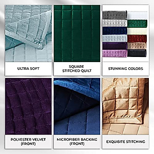 Tribeca Living Velvet Queen Quilt Set, Three-Piece Box Stitch Bedding Set Includes One Oversized Quilt & Two Sham Pillowcases, 260GSM Super Soft Velvet, Florence/Black