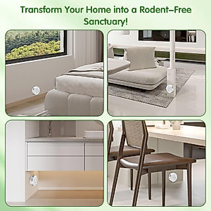 4 Pack Rodent Repellent, Peppermint Oil Evolute Formula for Rat and Mouse Use, Safe for Humans and Pets, Effective Repellent for Home, Car, Underhood, Garage, Indoor and Outdoor…