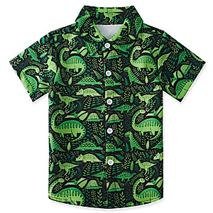 uideazone 5 Years Dinosaur Green Boys 3D Printed Holiday Button Down Shirt Novelty Tropical Themed Hawaiian Tops Clothes for Boys 5-6T