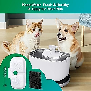 12 Pack Replacement Filters for 2.5L/84oz Dockstream Cat Fountain PLWF005/PLWF115, Cat Water Fountain Replacement Filters, Triple Action Pet Fountain Filter and Pre-Filter Sponge(1 Brush)