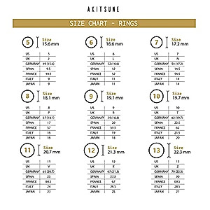 Akitsune Ferus Ring | Fox Design Ring Women Men Signet Ring Stainless Steel - Silver - US 11