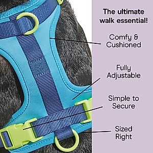 Wild One, Limited Edition, Designer Collection, Dog Harness, No-Pull Pet Harness with 3 Leash Clips, Adjustable Soft Padded Dog Vest, Comfortable, Stretchy, Medium, Blue