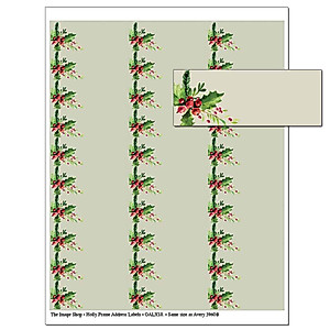 The Image Shop - Holly Frame Address Labels - 1" x 2-5/8"; 30 per Sheet, 150 Labels