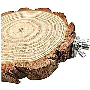 HUANRI 2 Pieces a Pack Nature Wooden Bird Perches Pet Bird Cage Platform Stand PerchES for Small Animals Parrot Parakeet Cockatiel Budgie (4-4.7inches)