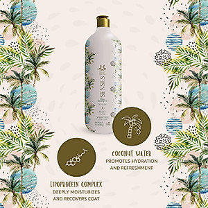 Hydra Senses Bliss Shampoo for Dogs and Cats, Coconut Water Pet Shampoo, Pet Moisturizing Shampoo for All Breeds, Repairs Coat Damage