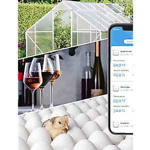 Govee WiFi Temperature Sensor H5179, Smart Hygrometer Thermometer with App Notification, 2 Years Data Storage Export, Remote Monitor for Room Greenhouse Incubator Wine Cellar, 2 Pack